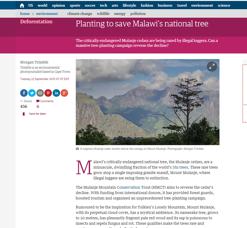 Planting to save Malawi's national tree - Morgan Trimble